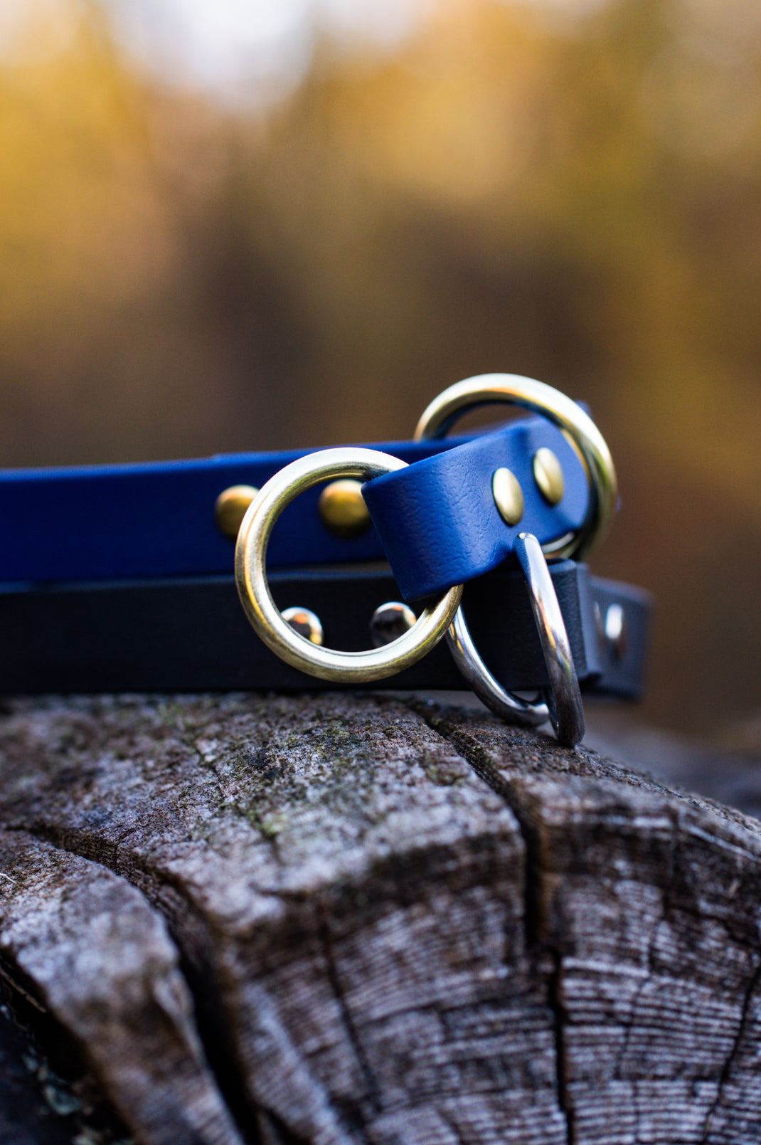 Honey Stone Co – HONEY STONE CO.