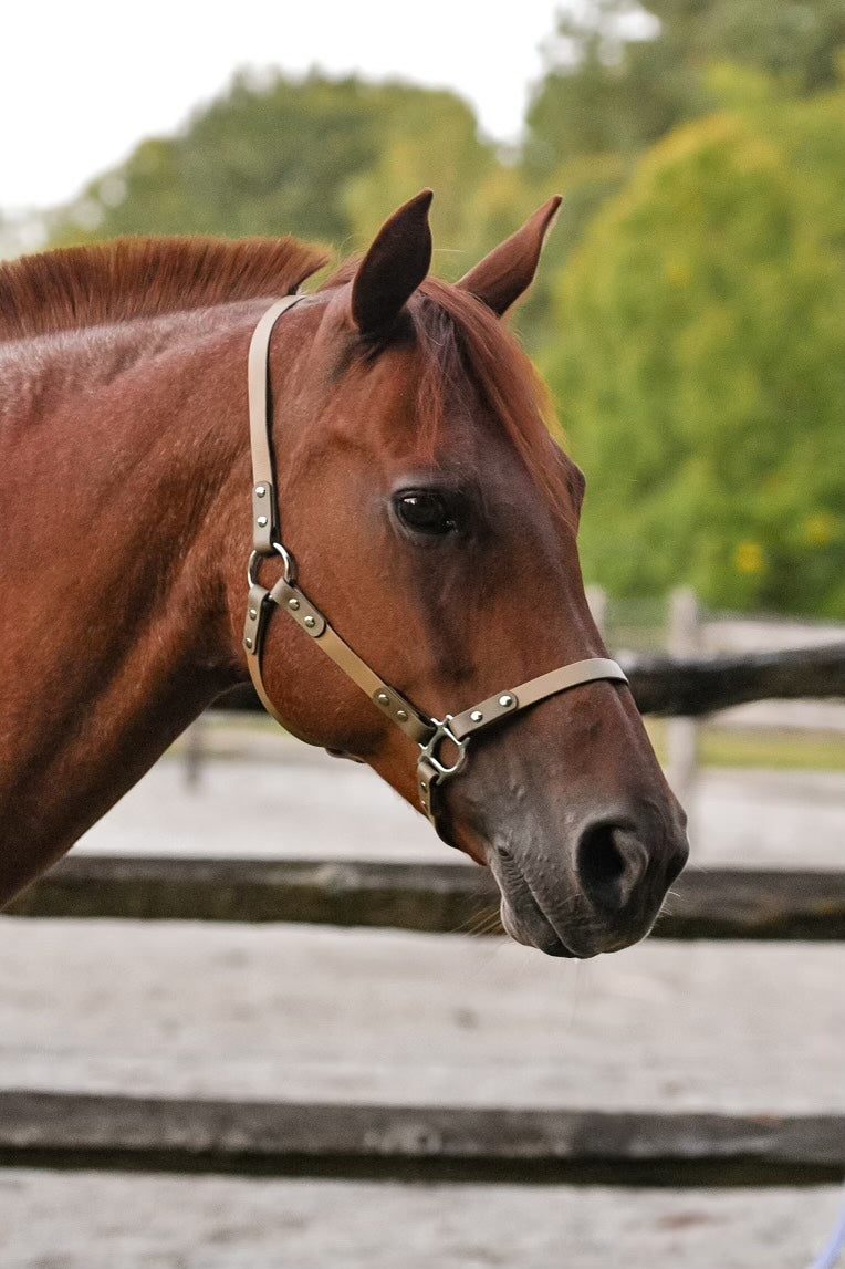 Two Toned Halter – HONEY STONE CO.
